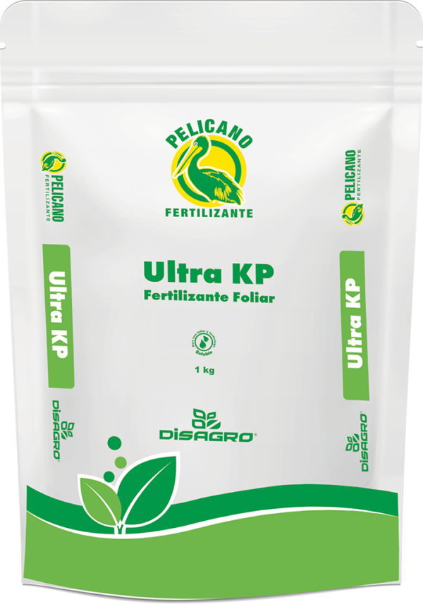Foliar - Disagro El Salvador