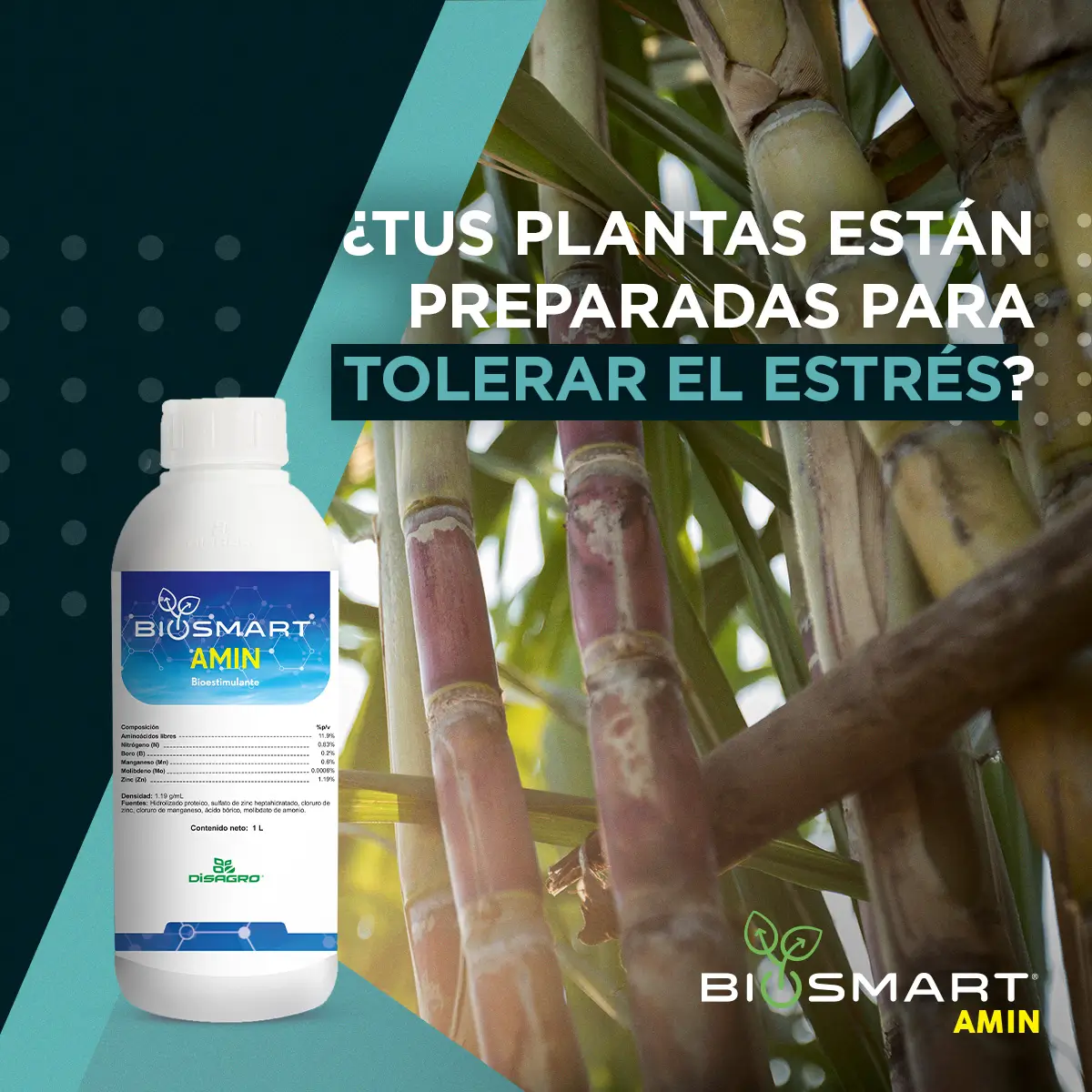 BIOSMART® AMIN - Disagro El Salvador