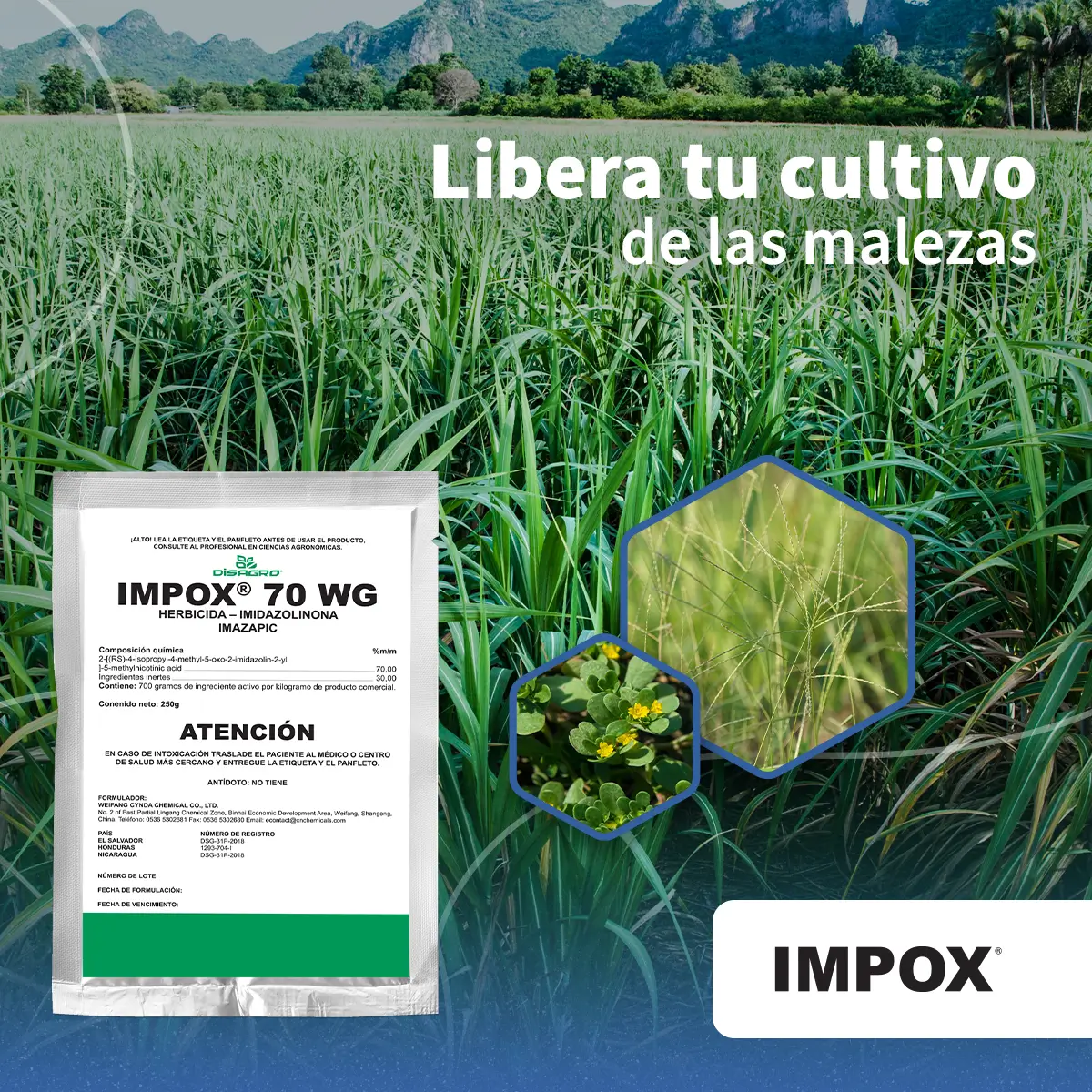 IMPOX® - Disagro El Salvador